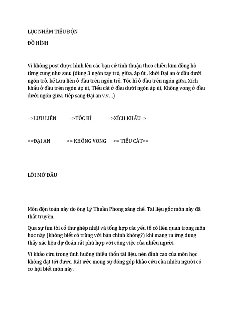 LỤC NHÂM TIỂU ĐỘN | PDF