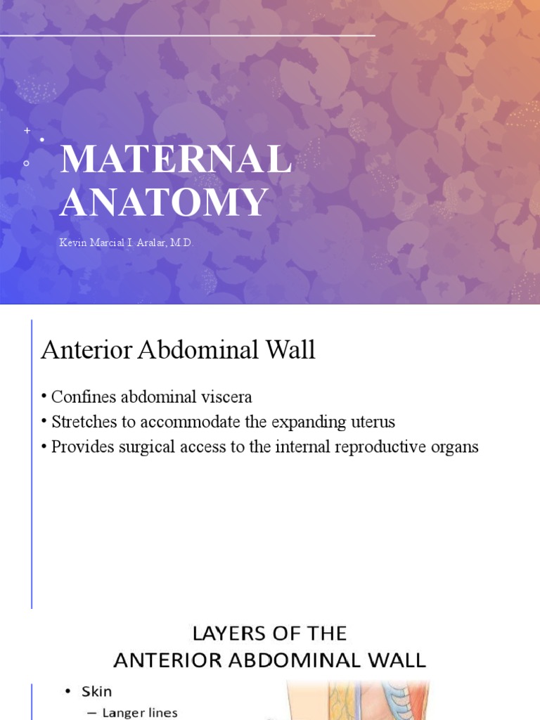 Maternal Anatomy: Kevin Marcial I. Aralar, M.D | PDF | Pelvis | Vagina