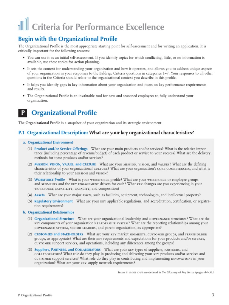 2023 2024 Baldrige Framework Business Nonprofit Organizational Profile | PDF | Supply Chain ...