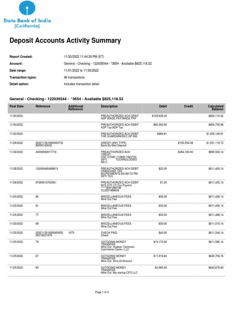 Business Account Activity Report | PDF | Transaction Account | Credit Card