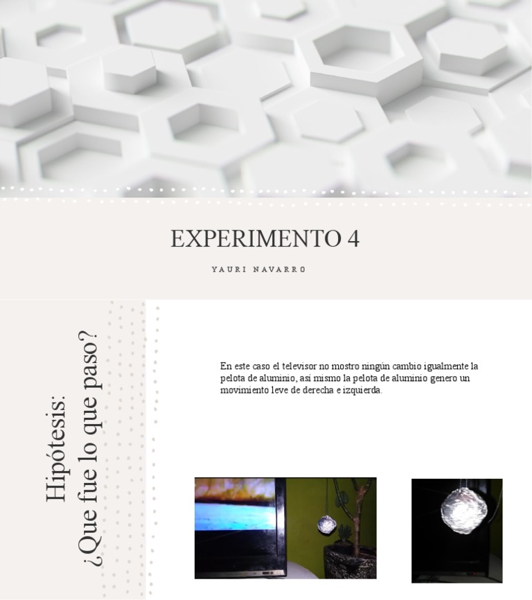 EXPERIMENTO | PDF