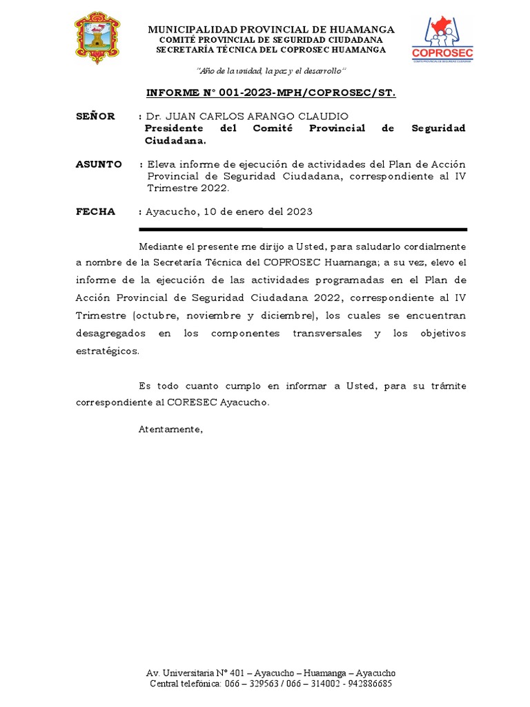 Modelo Del Informe Trimestral | PDF