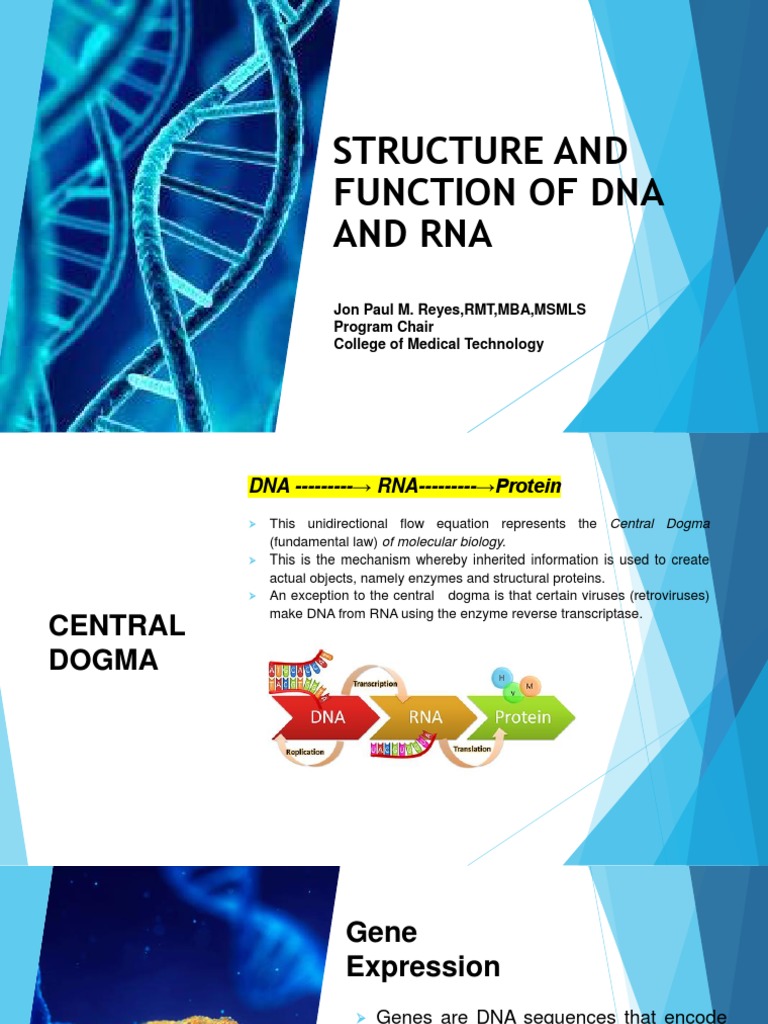 Structure and Function of Dna and Rna: Jon Paul M. Reyes, RMT, MBA, MSMLS Program Chair College ...