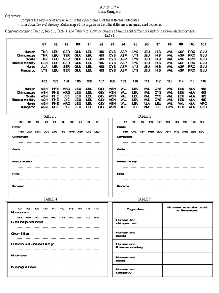ACTIVITY 4. Let's Compare | PDF