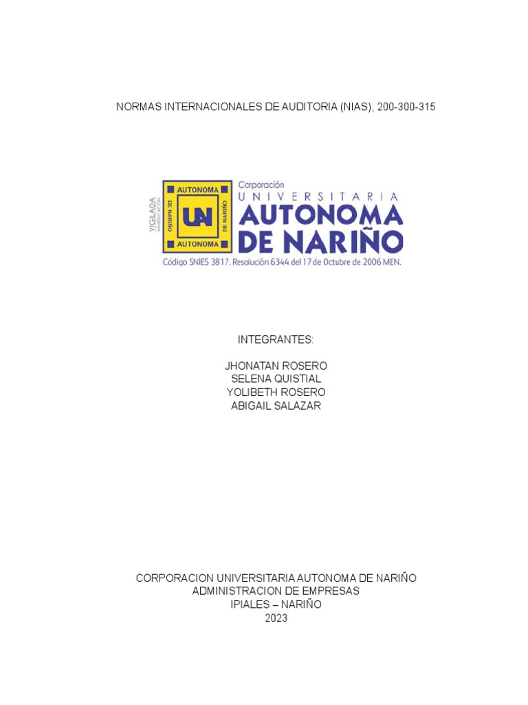 Normas Internacionales de Auditoria (Nias), 200-300-315 | PDF ...