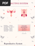Male Reproductive System | PDF | Testicle | Prostate