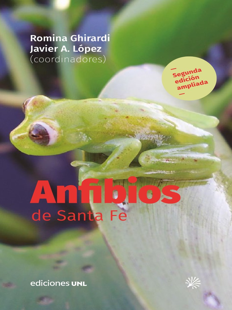 Anfibios Aa | PDF | Enseñando | Anfibio