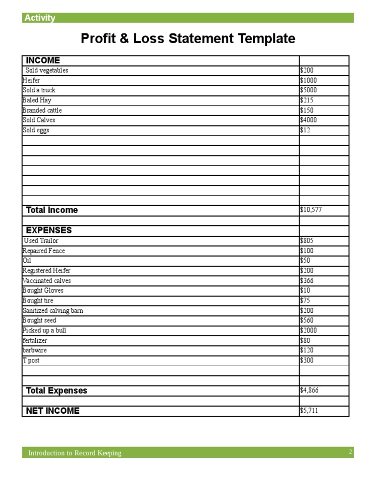 Activity - Profit and Loss Statement Template | PDF