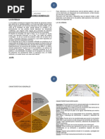 Definición de acera, calzada y berma | PDF | Peatonal | La carretera
