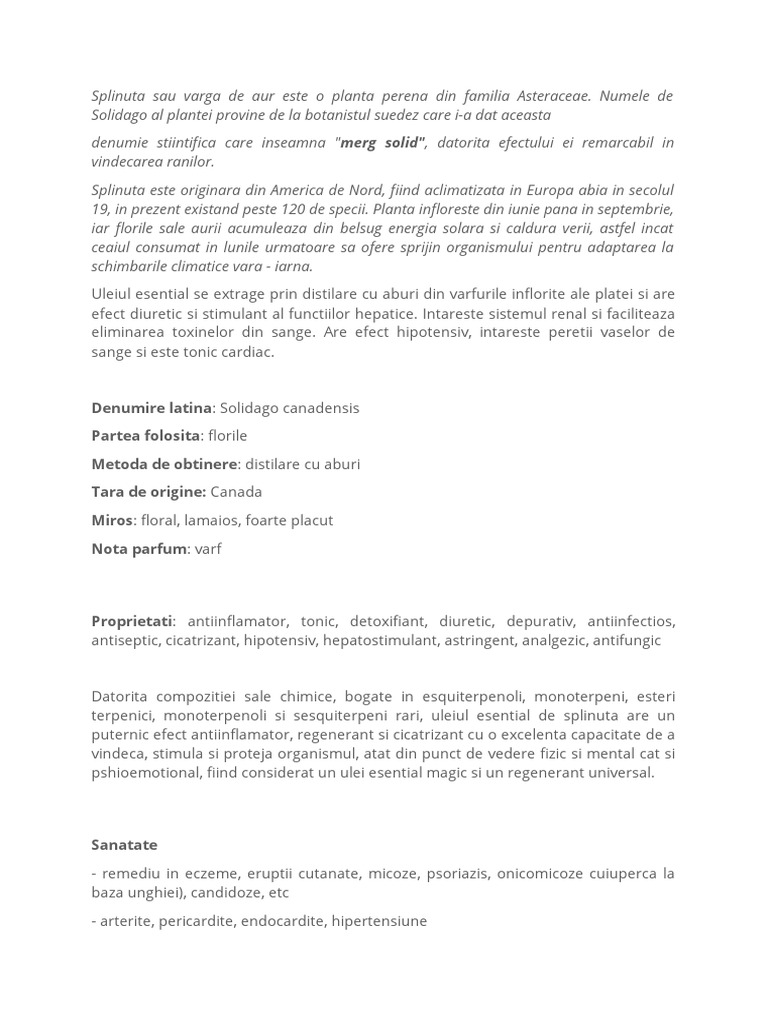 Splinuta Sau Varga de Aur Este o Planta Perena Din Familia Asteraceae | PDF