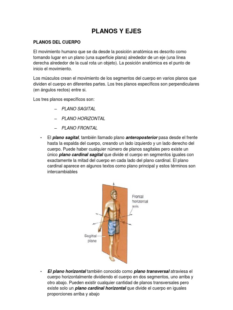 Planos y Ejes Del Cuerpo Humano | PDF | Eje | Naturaleza