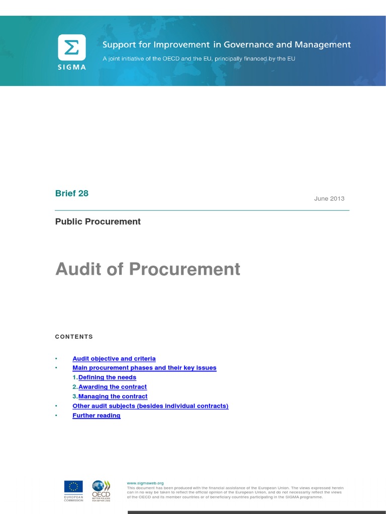 Audit of Public Procurement | PDF | Audit | Procurement