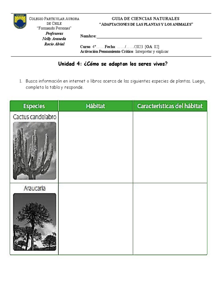 4° Básico - Guía de Ciencias - ADAPTACIONES DE LAS PLANTAS Y LOS ...