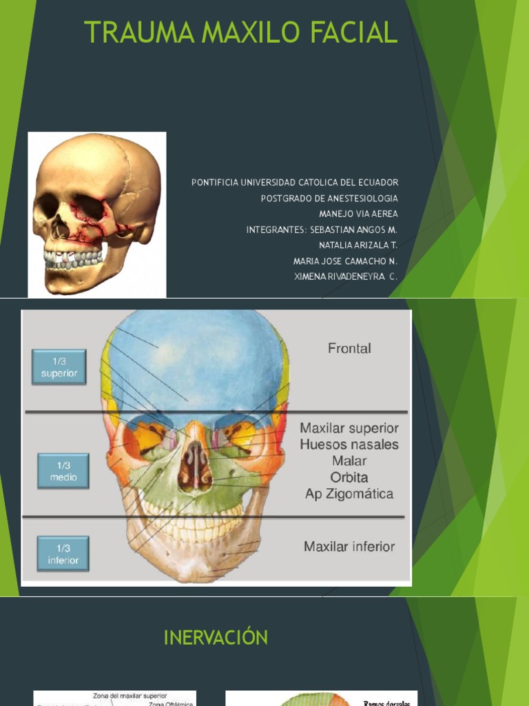 Trauma Maxilo Facial N | PDF | Lesión | Anatomía humana