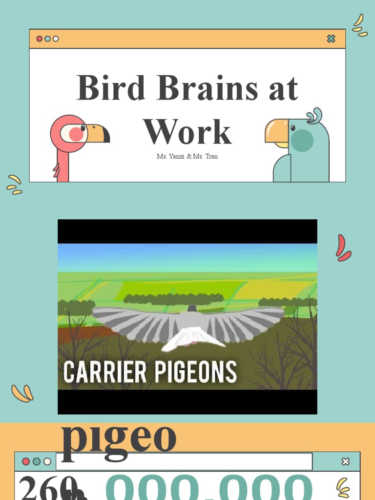 Pigeons: Nature's Working Birds | PDF | General Fiction