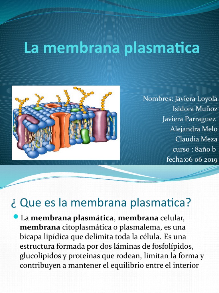 La Membrana Plasmatica | PDF