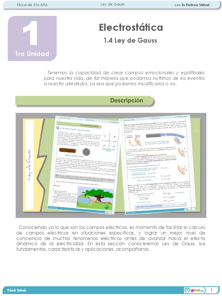 Ley de Gauss | Descargar gratis PDF | Campo magnético | Vector Euclidiano