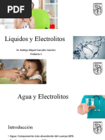 ELECTROLITOS CONCENTRADOS (CUIDADOS DE RESGUARDO, MARCO LEGAL, ACCIONES PREVIAS A LA ...