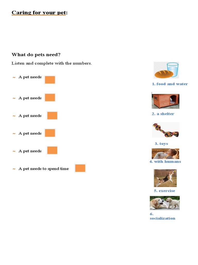Essential Pet Care Needs Explained | PDF