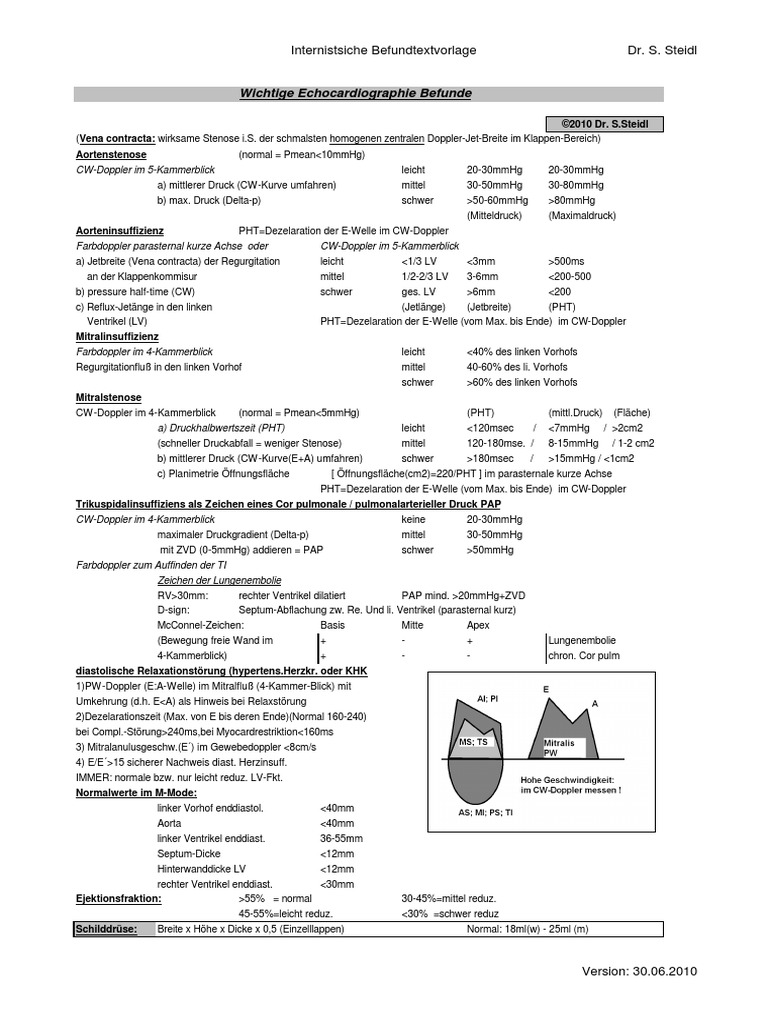 Befund Vorlage | PDF Befund Vorlage | PDF