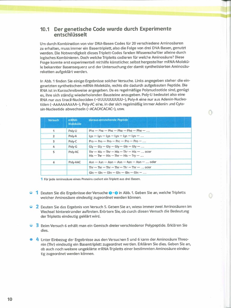 Genetischer Code Und Proteinbiosynthese ' | PDF