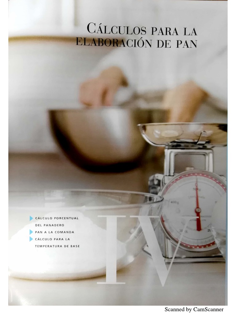 Mausi Sebess Panaderia | PDF