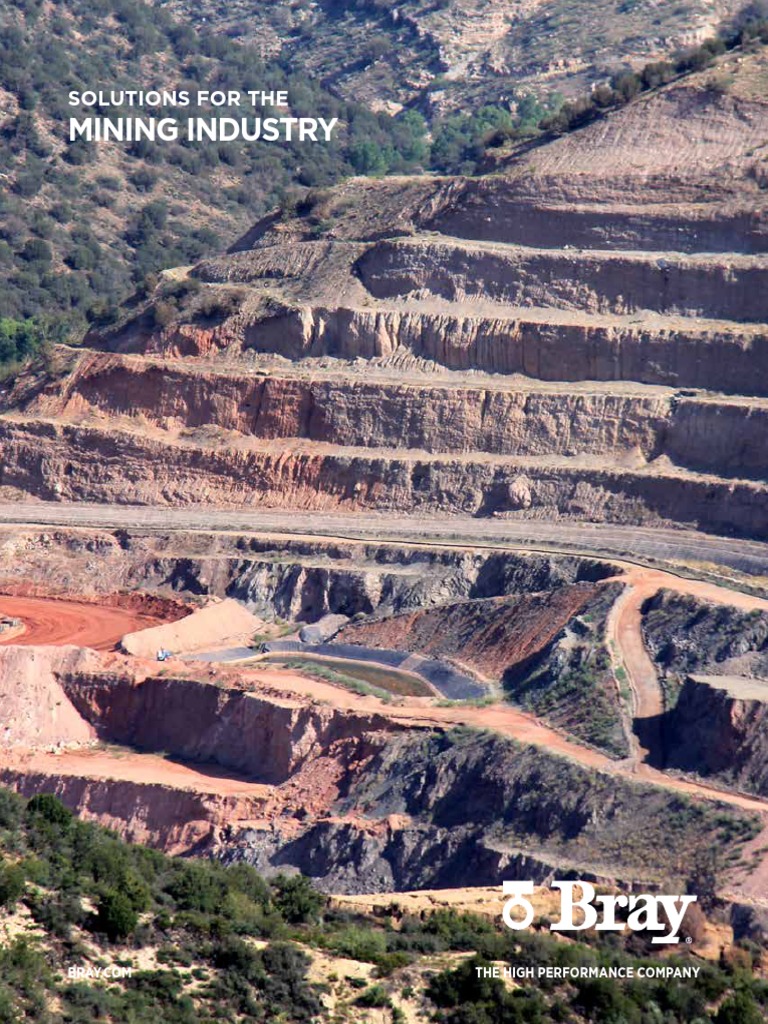 Solutions-Mining-Industry-Bray Controls | PDF | Valve | Pump