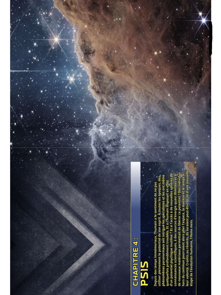 COG Création Perso Psis | PDF