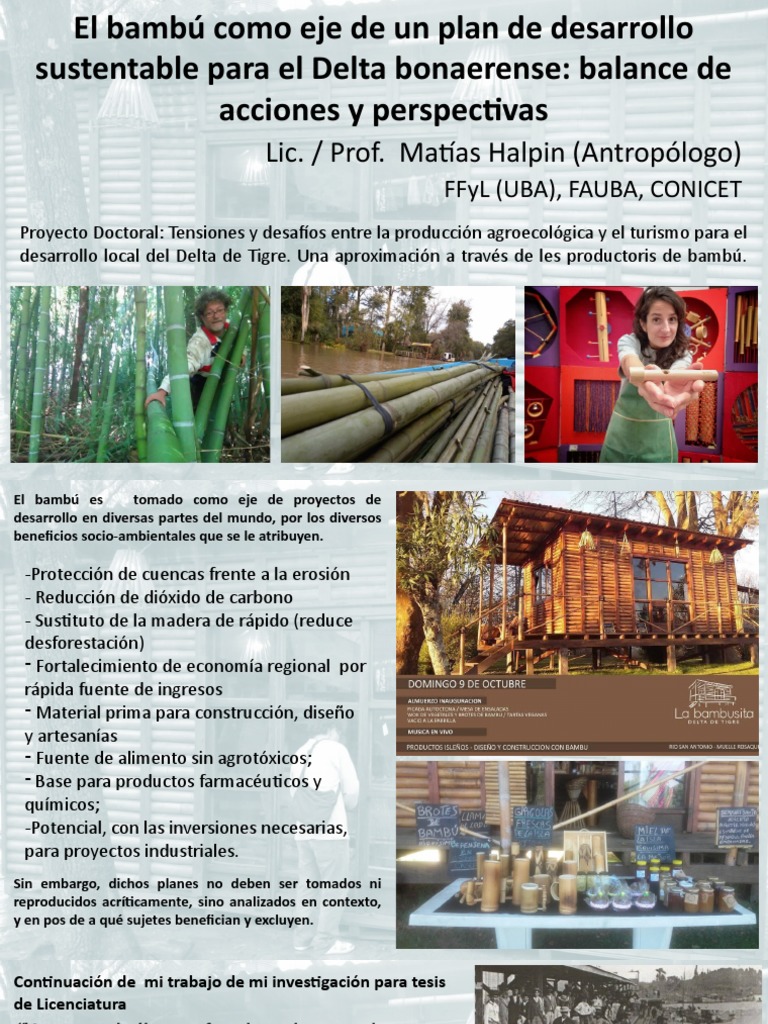El Bambú Como Eje de Un Plan de Desarrollo Sustentable para El Delta ...