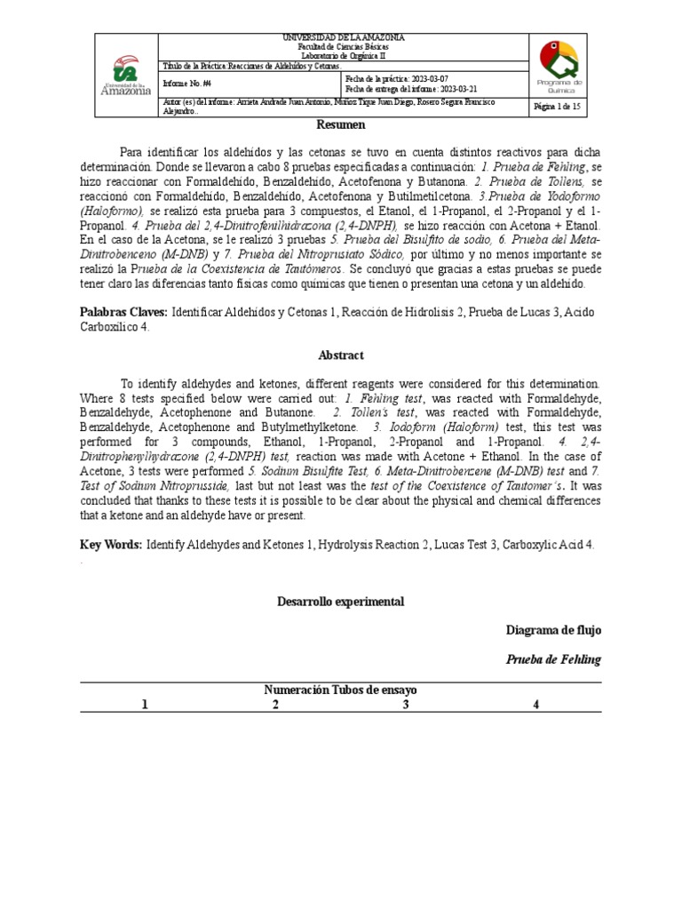 Lorg Ii23 1 Inf4 | PDF | Reacciones químicas | Cetona