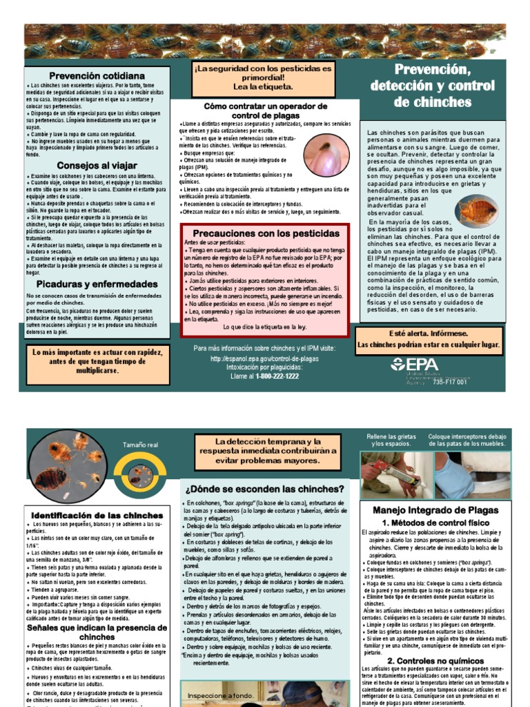 Epa Bed Bug Prevention Detection and Control | PDF | Pesticida