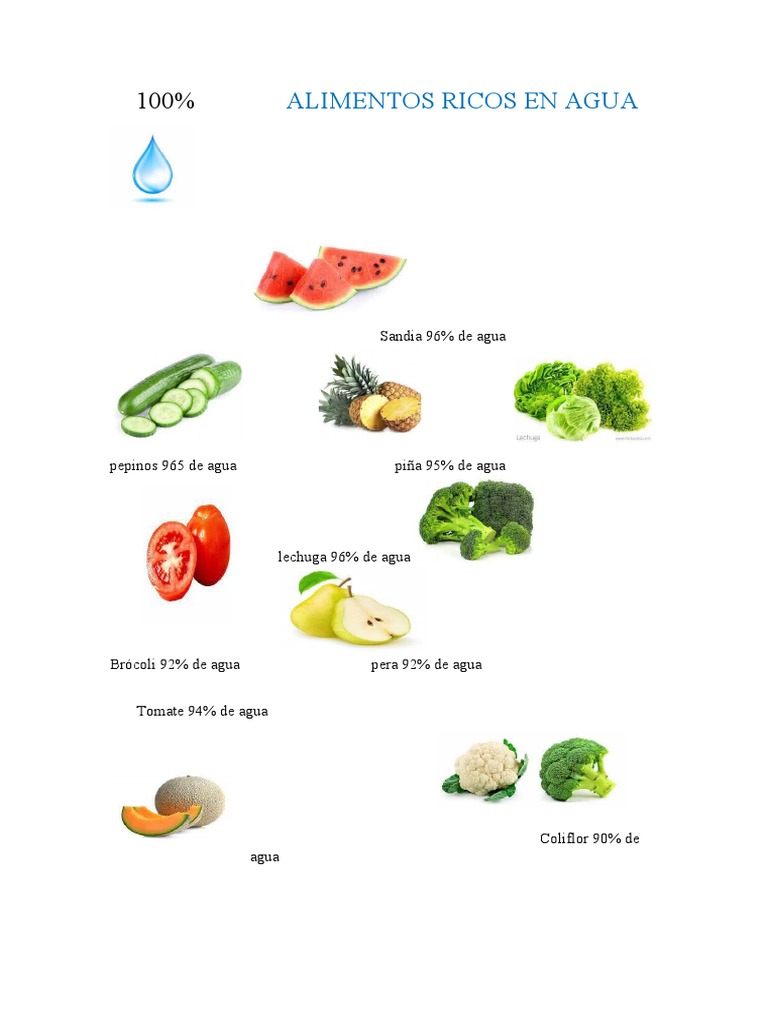20 Alimentos Ricos en Agua | PDF