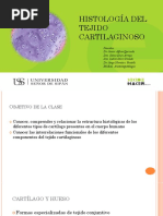 Ficha Técnica Quantrel | PDF | Medicamentos con receta | El embarazo