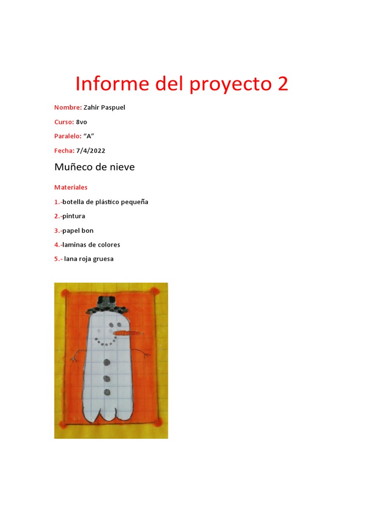 Informe Del Proyecto 2: Muñeco de Nieve | PDF