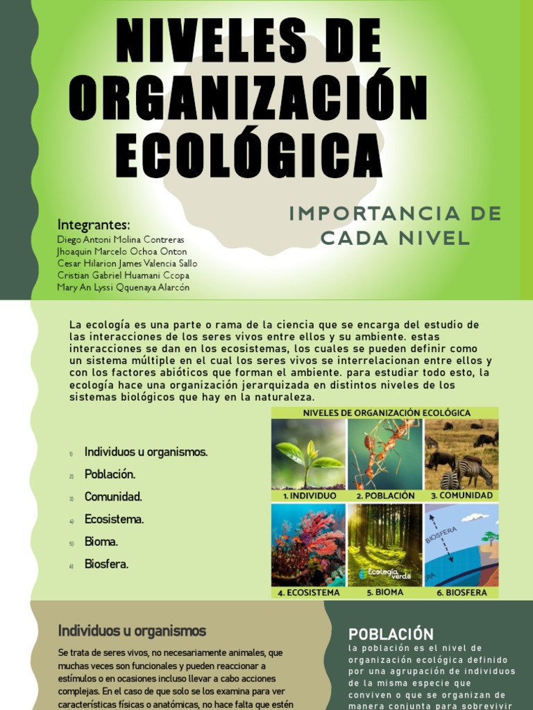 Niveles de Organización Ecológica | PDF | Ecosistema | Ciencias de la Tierra