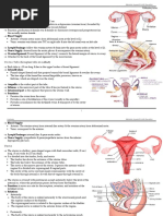 Female Reproductive System | PDF | Uterus | Vagina