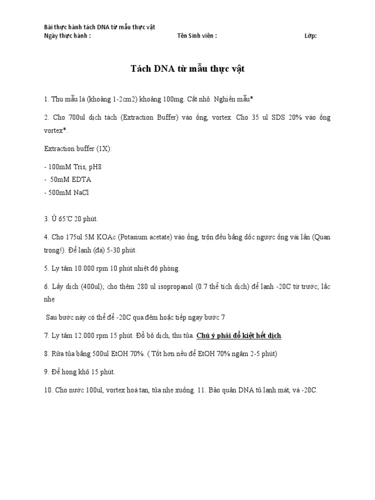 Bài thí nghiệm DTH tách chiết DNA | PDF