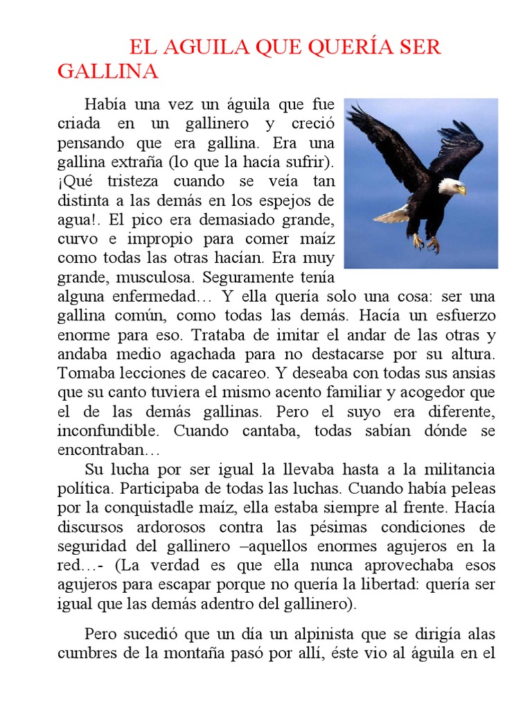 El águila que quería ser gallina | PDF | Pollo