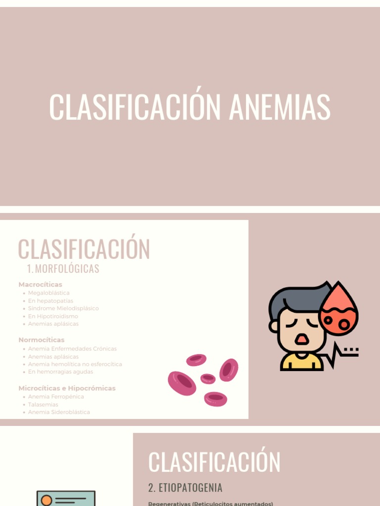 Clasificación Anemias | PDF | Leucemia | Enfermedades y trastornos