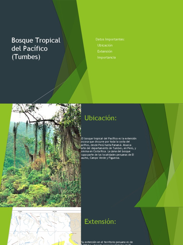 Bosque Tropical Del Pacífico | PDF
