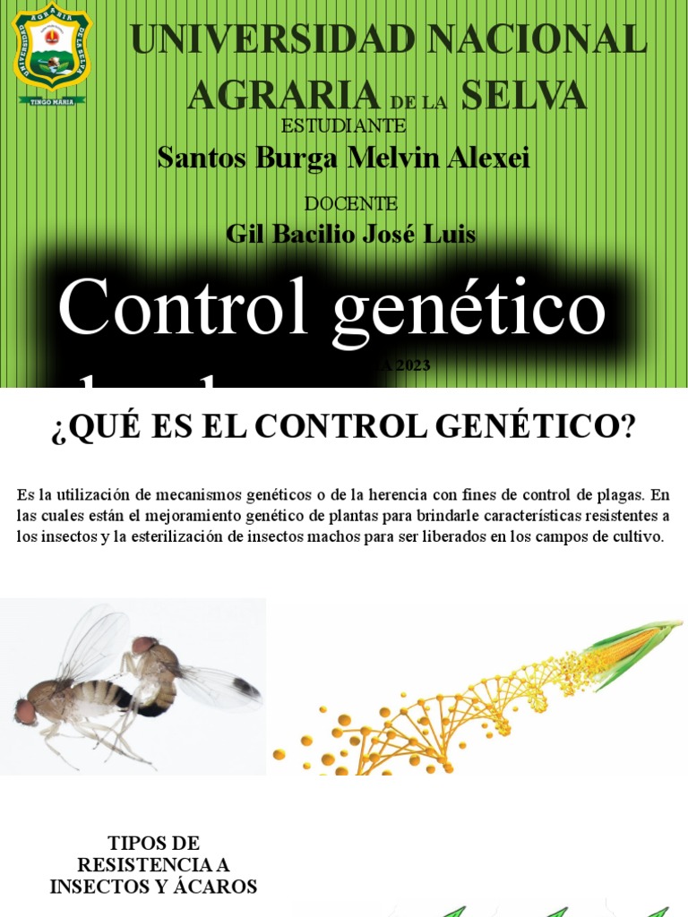 control genético | PDF | Insectos | Biología