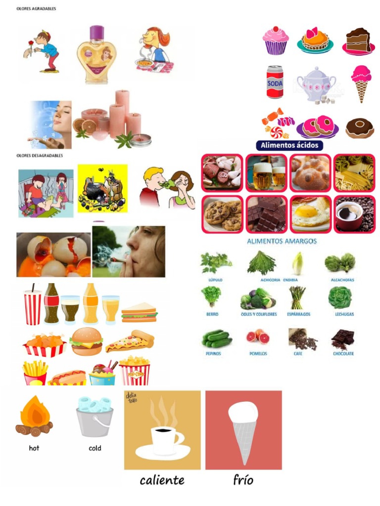 Olores Agradables y Desagradables, Sabores, Cuidar El Medio Ambiente | PDF