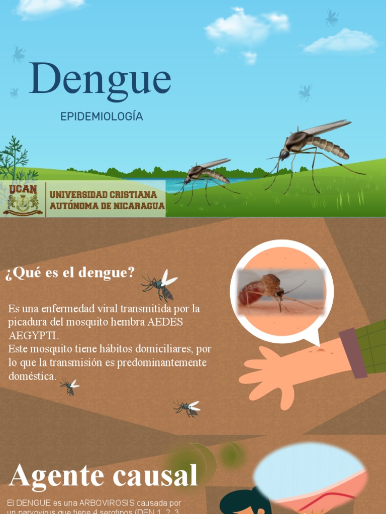 Epidemiología y manifestaciones clínicas del dengue | PDF | Virus | Ciencias de la Salud