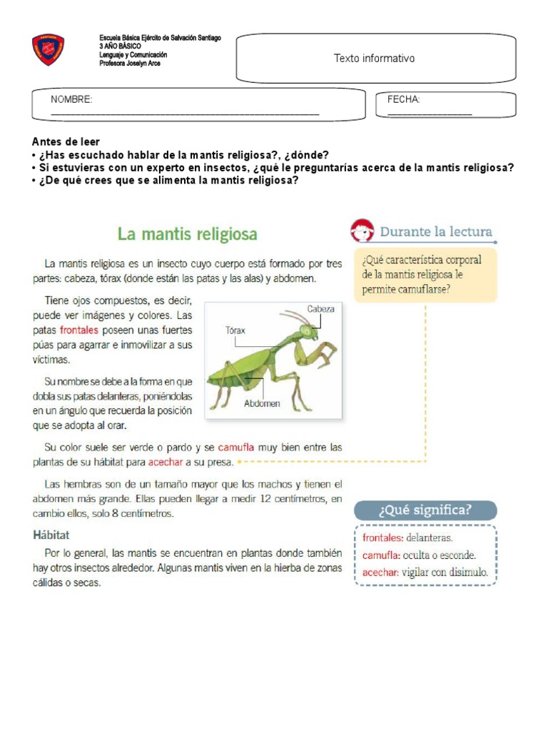 Textos Informativos Mantis Religiosa | PDF