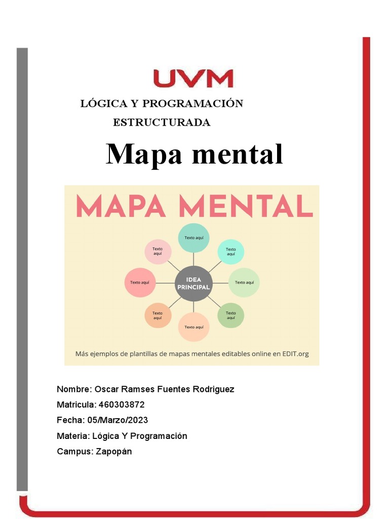 Lógica y Programación Estructurada | PDF