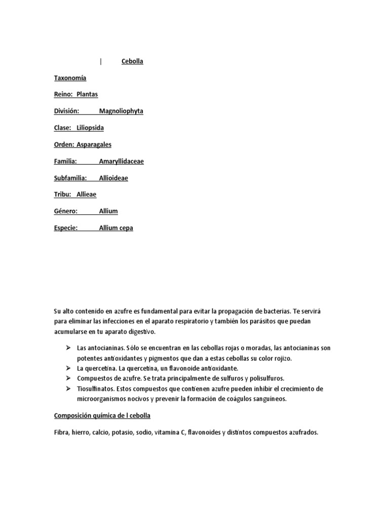 Cebolla | PDF | Las bacterias | Cebolla