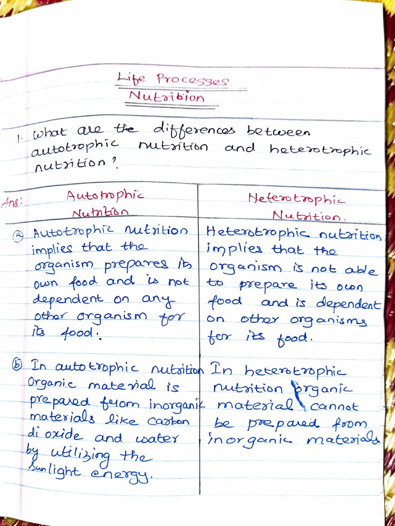 Life Processes - Nutrition and Respiration | PDF | Anatomy