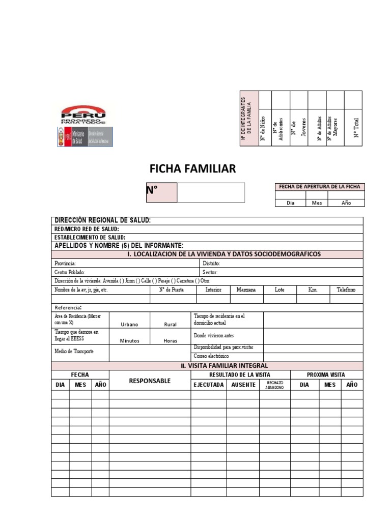 Formato de Ficha Familiar Minsa | PDF | Violencia | Higiene