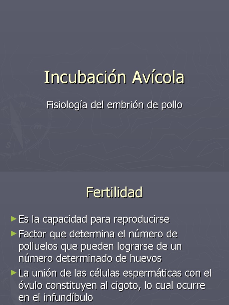 Fisiología y Desarrollo del Embrión de Pollo | PDF | Embrión ...