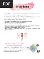 Etapas y Grados de Caries PDF | PDF | Diente | Odontología
